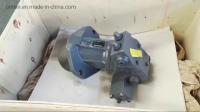 China Cast Iron A2FE125 Hydraulic Piston Motor 125cc Spare Parts for Industrial Machinery for sale
