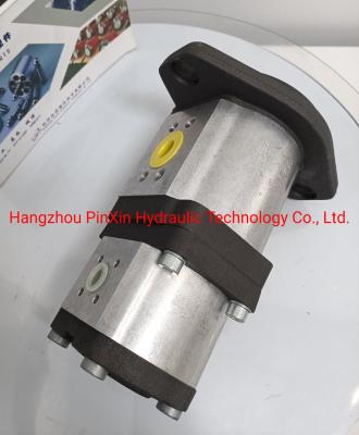 China Straight Tooth Gear Pump for Rexroth Hydraulic Pump Azpnf-11-032011rdc0720kb-S0081 25cc for sale