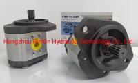 China Rexroth Gear Pump Azpn-11-025rdc07kb-S0081 25cc Hydraulic Pump Customization for sale