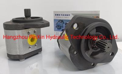 China Rexroth Gear Pump Azpn-11-025rdc07kb-S0081 25cc Hydraulic Pump Customization for sale