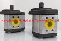 China Rexroth Gear Pump Azpn-11-025rdc07kb-S0081 25cc Hydraulic Pump Customization for sale