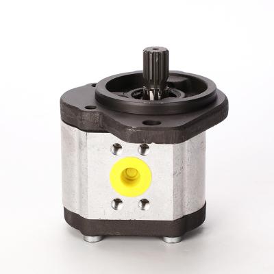 China Rexroth Hydraulic Gear Pump Azpn-11-022ldc07kb-S0081 Straight Tooth Flank 22cc for sale