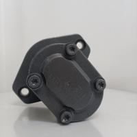 China Rexroth Hydraulic Gear Pump Azpn-11-022ldc07kb-S0081 Straight Tooth Flank 22cc for sale