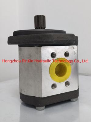 China Azpn-11-032rdc07kb-S0081 Hydraulic Gear Pump 10 Years Factory Stock for sale