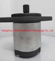 China Azpn-11-032rdc07kb-S0081 Hydraulic Gear Pump 10 Years Factory Stock for sale