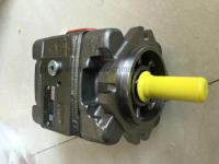 China Carbon Steel Excavator Hydraulic Gear Pump Piston Pump PGF2-22.008 22cc for Oil Transfer for sale