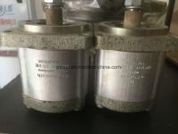 China Oil Hydraulic Gear Pump Model 0510645601 25cc High Pressure for Industrial Use for sale