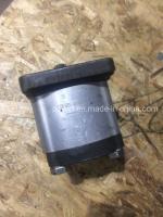 China 15kg Hydraulic Gear Pump 20cc High Pressure for Industrial Hydraulic Systems for sale