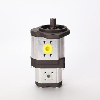 China Hydraulic Gear Pump AZPFF-11-022/008RRR2020KB-S0081 Skew Tooth Flank 22cc 8cc for sale