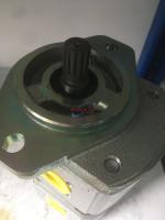 China Tooth Flank Skew Tooth Hydraulic Gear Pump AZPG-22-022RNM20MB 22cc High Performance for sale