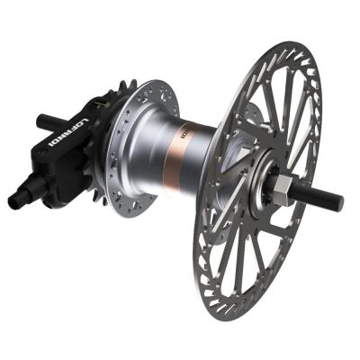 China 1.1kg 3 Speed Internal Gear Hub OEM 200mm Bicycle Rear Hub Internal Gears for sale