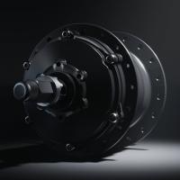 China iGearbox Electronic 5 Speed Internal Gear Hub for sale