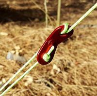 China Rope Cleat  Tent Wind Rope Buckle Hook Aluminum Adjuster Tent Wind Rope Stopper for sale