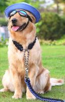 China 2 Way leash chain Dog Lead Metal Pets Choke Chain Heavy Duty Style Chrome Plated chain for sale