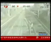 动图