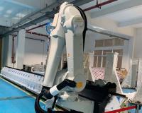 China High Cycle  Robot Linear Rail System Units For Spraying Industry Excellent Explosion Proof Guide Rails for sale