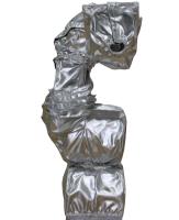 China Laboratory Robot Protective Cover Manufacturer Automatic Temperature Adjustment for sale