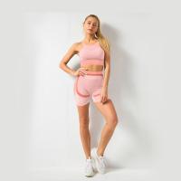China Seamless Yoga Set High Waist Gym Shorts Sports Bra Set for Women S-XL Nylon for sale