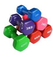 China Thin Arm Dip Plastic Dumbbells 5kg Eco Friendly 2kg Ladies Dumbbells for sale