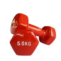 China Thin Arm Dip Plastic Dumbbells 5kg Eco Friendly 2kg Ladies Dumbbells for sale