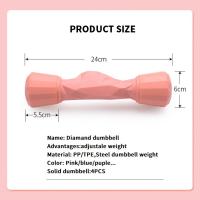 China TPE Neoprene Coated Dumbbell 1.1kg Anti-Slip Fitness Dumbbell for Home Gym for sale