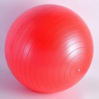 China Gravity Heavy Duty Exercise Ball 75cm PVC Yoga Ball for Fitness Training for sale