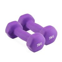 China Custom Neoprene Hex Dumbbell Set 1-10 kg Non-Slip Waterproof Fitness for Women for sale