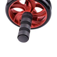 China 5 in 1 Ab Wheel Roller Set 22x16cm Dual Wheel Home Gym Abdominal Muscle Trainer for sale