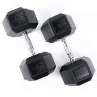China Rubber Coated Cast Iron Hex Dumbbell 10 lb Set for Physical Fitness Gym for sale