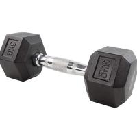 China Rubber Coated Cast Iron Hex Dumbbell 10 lb Set for Physical Fitness Gym for sale