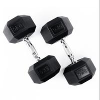 China Rubber Coated Cast Iron Hex Dumbbell 10 lb Set for Physical Fitness Gym for sale
