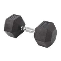 China Rubber Coated Cast Iron Hex Dumbbell 10 lb Set for Physical Fitness Gym for sale