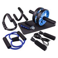 China Stainless Steel Ab Wheel Roller Set with Push Up Bar 600 lbs Capacity Home Gym for sale