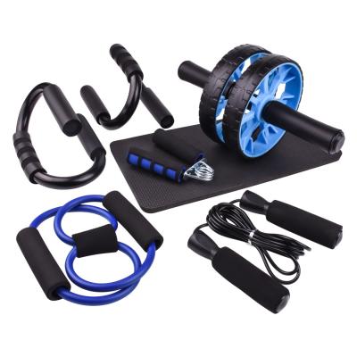 China Stainless Steel Ab Wheel Roller Set with Push Up Bar 600 lbs Capacity Home Gym for sale
