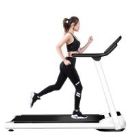 China Motorized Indoor Portable Treadmill 110/220V Foldable Home Fitness Running Machine for sale