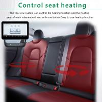 China Air Conditional Model 3/Y Tesla Rear Display Back Row Seat CockPit LCD Screen for sale