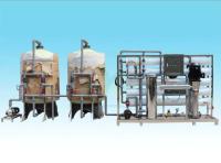 China Customized Ion Exchange Water Treatment System 10T/H For Drinking Water / Beverage for sale