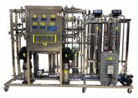 China 0.25T EDI Automatic RO Water Treatment System For Medicine Industry for sale