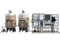 China 380V 10TPH RO Water Purification System with CNP Pump for Particle and Chlorine Removal for sale