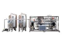 China 5000LPH Two Stage Reverse Osmosis System Ultra Pure Water EDI Plant RO Filtration SUS-316 for sale