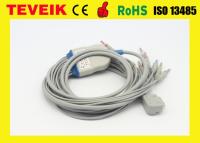 China Siemens Ekg Ecg Cable With 10 Leads Banana 4.0 End Aha Standard for sale