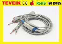 China Siemens Ekg Ecg Cable With 10 Leads Banana 4.0 End Aha Standard for sale