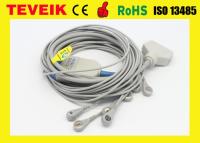 China DB 15Pin Fukuda Denshi 10 lead EKG/ECG Cable With Snap IEC Supply from Factory for sale