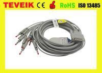 China Banana 4.0 pulg Nihon Kohden One-piece 10 leads ECG/EKG Cable with DB 15pin for ECG-9022 for sale