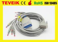 China Ekg Electrode Lead Wires 10 Lead DB 15 Pin For Schiller AT3 AT6 CS6 AT5 AT10 AT60 for sale