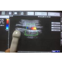 China CA123 Convex Array Ultrasound Scan Probe for MyLab 25 Series for sale