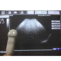 China CA123 Convex Array Ultrasound Scan Probe for MyLab 25 Series for sale