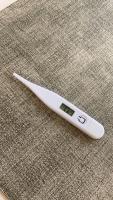 China Digital Thermometer Medical Clinical Electronic Waterproof Baby Thermometer for sale