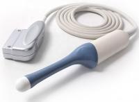 China Microconvex Endovaginal Ultrasound Transducer Probe GE RIC5-9W-RS For Voluson E S6 for sale