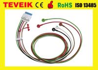 China HP Medical Patient Monitor ECG Cable M1644A EKG cable 5 leads Snap AHA for sale